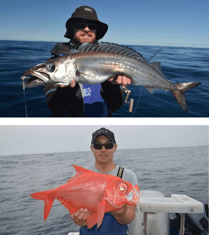 Guide to deep dropping - Fishing Guide